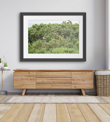 Sports Posters, Sports Wallpapers and Framed pictures / Sport Photo Gallery