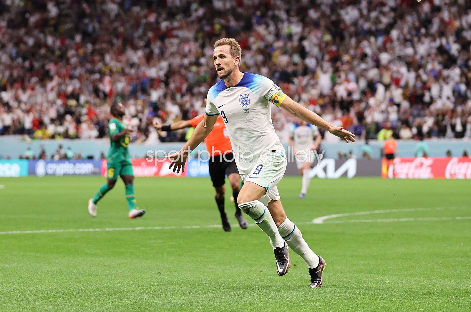 Harry Kane England Celebrates V Senegal Last 16 World Cup Qatar 2022 Harry Kane England Celebrates V Senegal Last 16 World Cup Qatar 2022