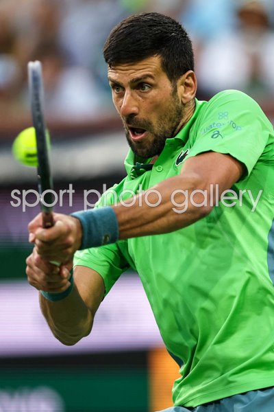 Novak Djokovic BNP Paribas Open Indian Wells 2024 Images | Tennis Posters